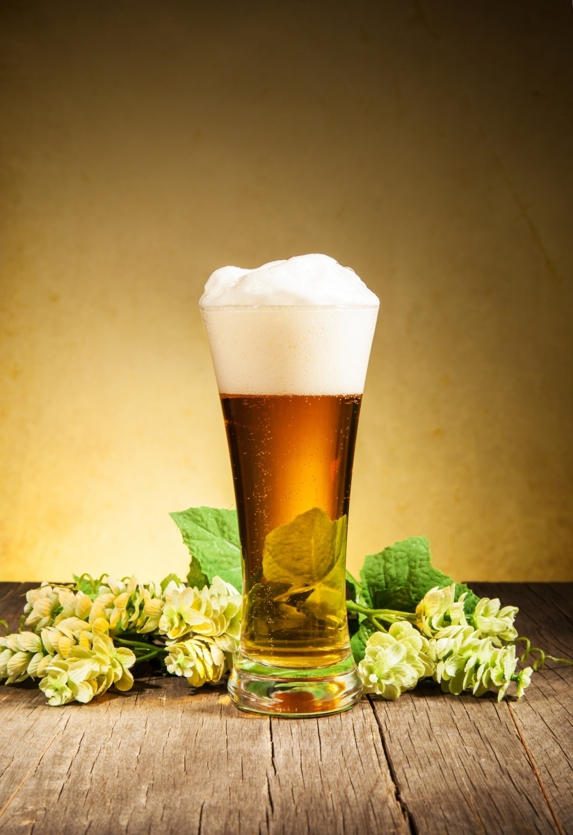 Бокал пива — A glass of beer