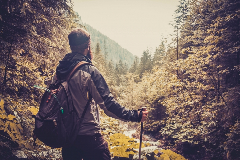 Путешественник — Traveler