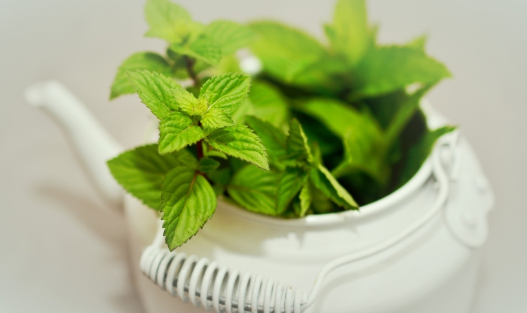 Мята — Mint