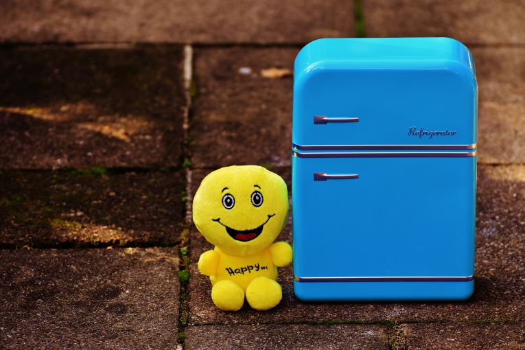 Холодильник, игрушка смайлик, макро — Refrigerator, toy smiley, macro